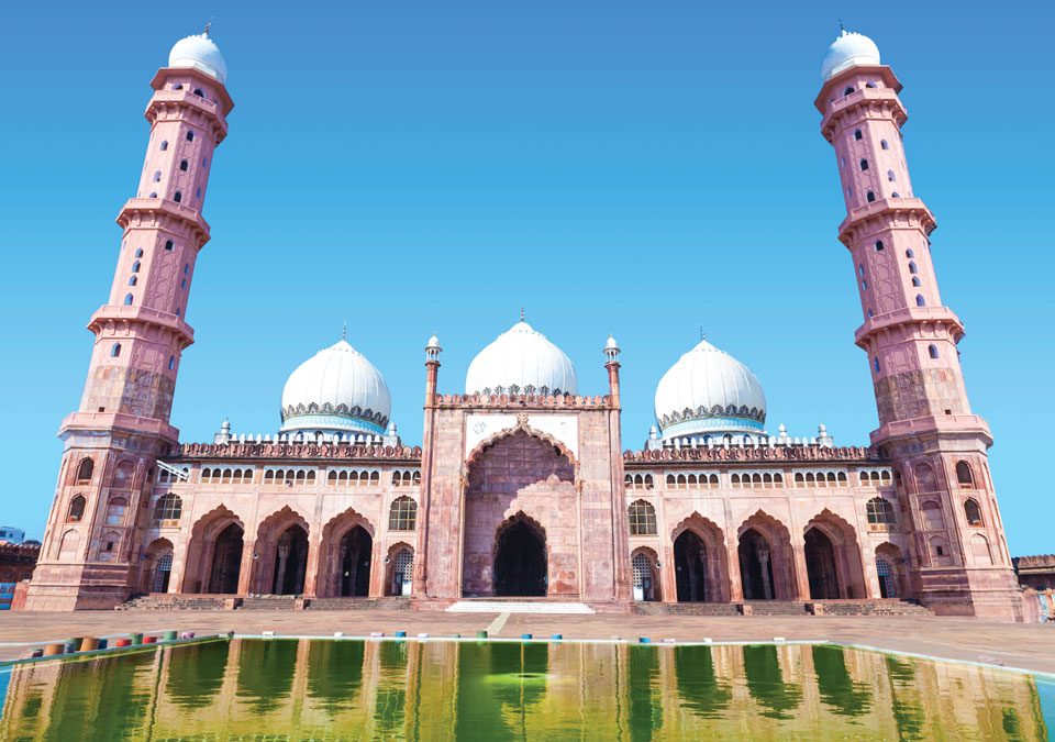 DESERT DIVERSION - BIRDS OF KHICHAN | LIVING